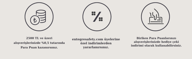 Para Puan Sistemi Hakkında